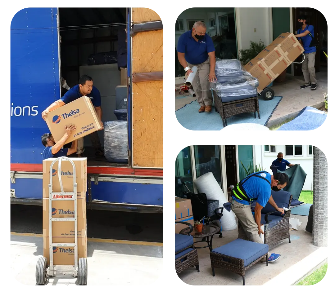 Thelsa | International Moving